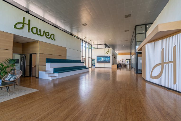 Le groupe Havea, en croissance, revoit son organisation - Informateur ...